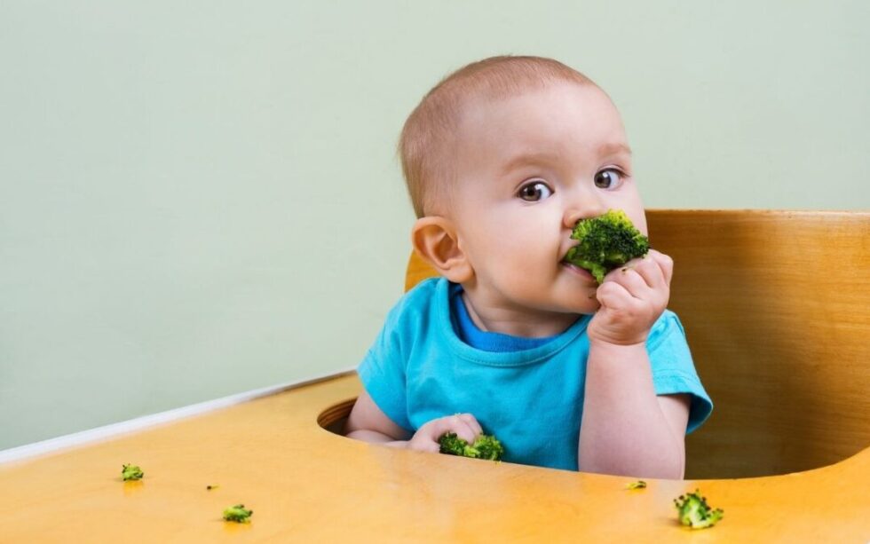 6 Easy Toddler Breakfast Ideas For When You re Short Of Inspiration 6 Easy Toddler Breakfast Ideas For When You re Short Of Inspiration